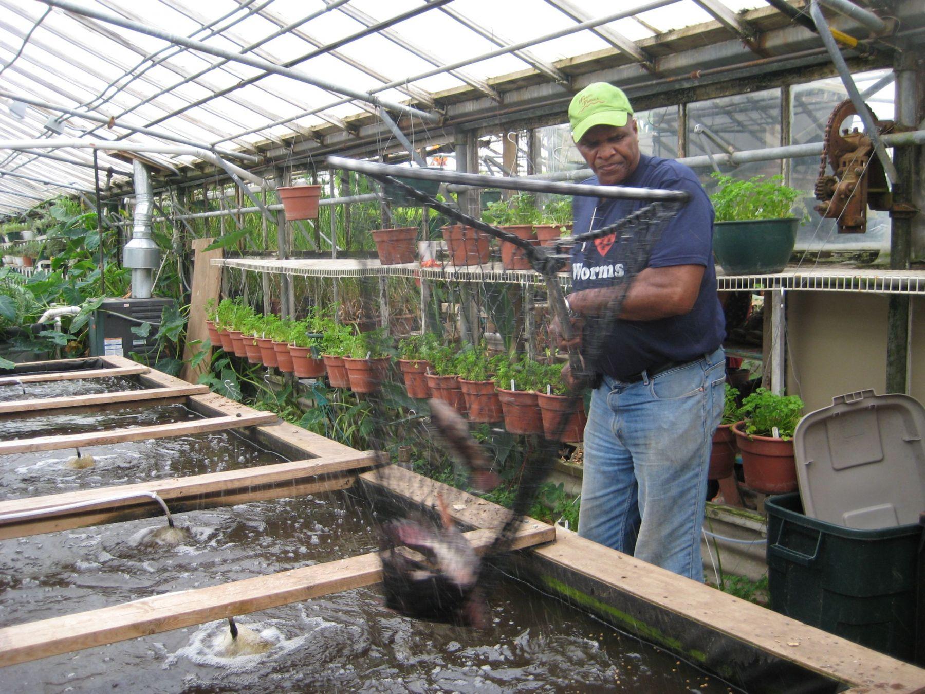 1 Million Pounds Of Food On 3 Acres Of Land Woodz
