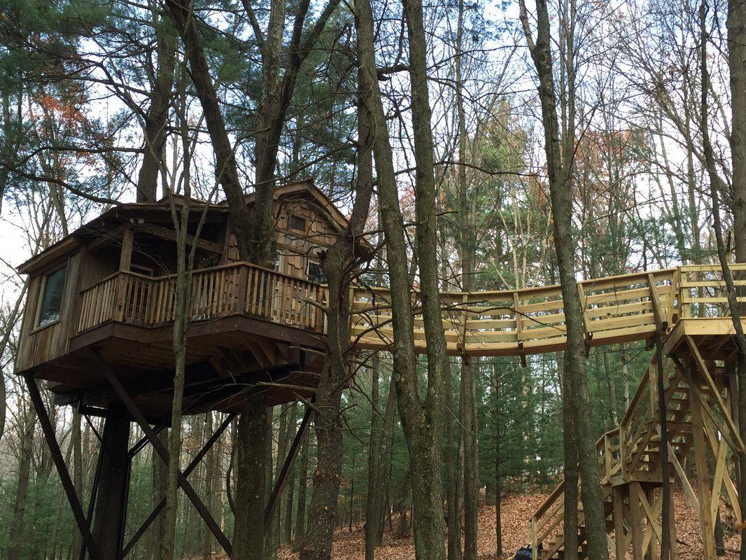 Old Pine Treehouse | Woodz