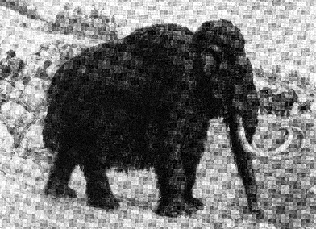 Russian and South Korean Scientists Announce Plan To Clone a Woolly ...